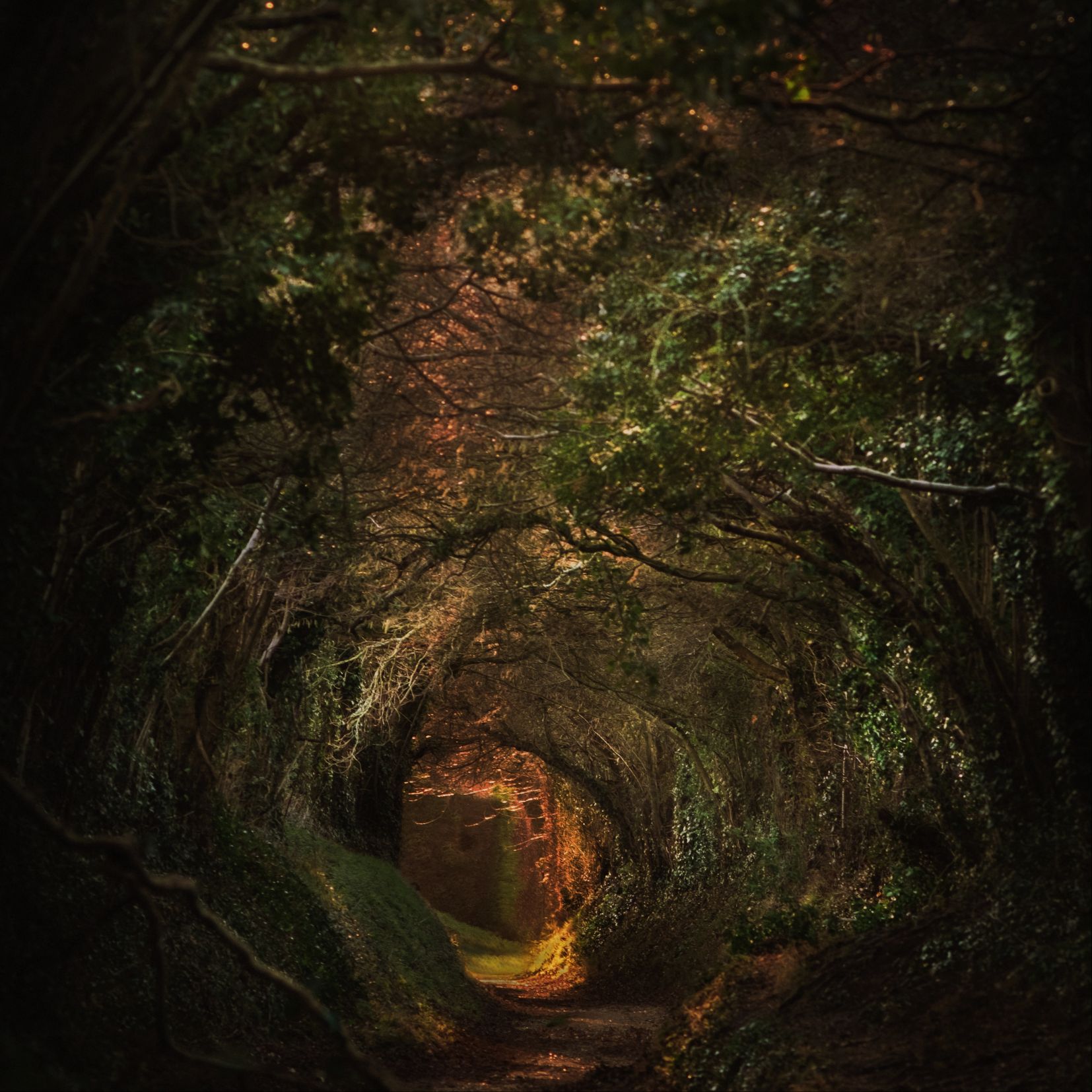 Cómo escribir un libro de fantasía que tenga éxito - fingerprint España